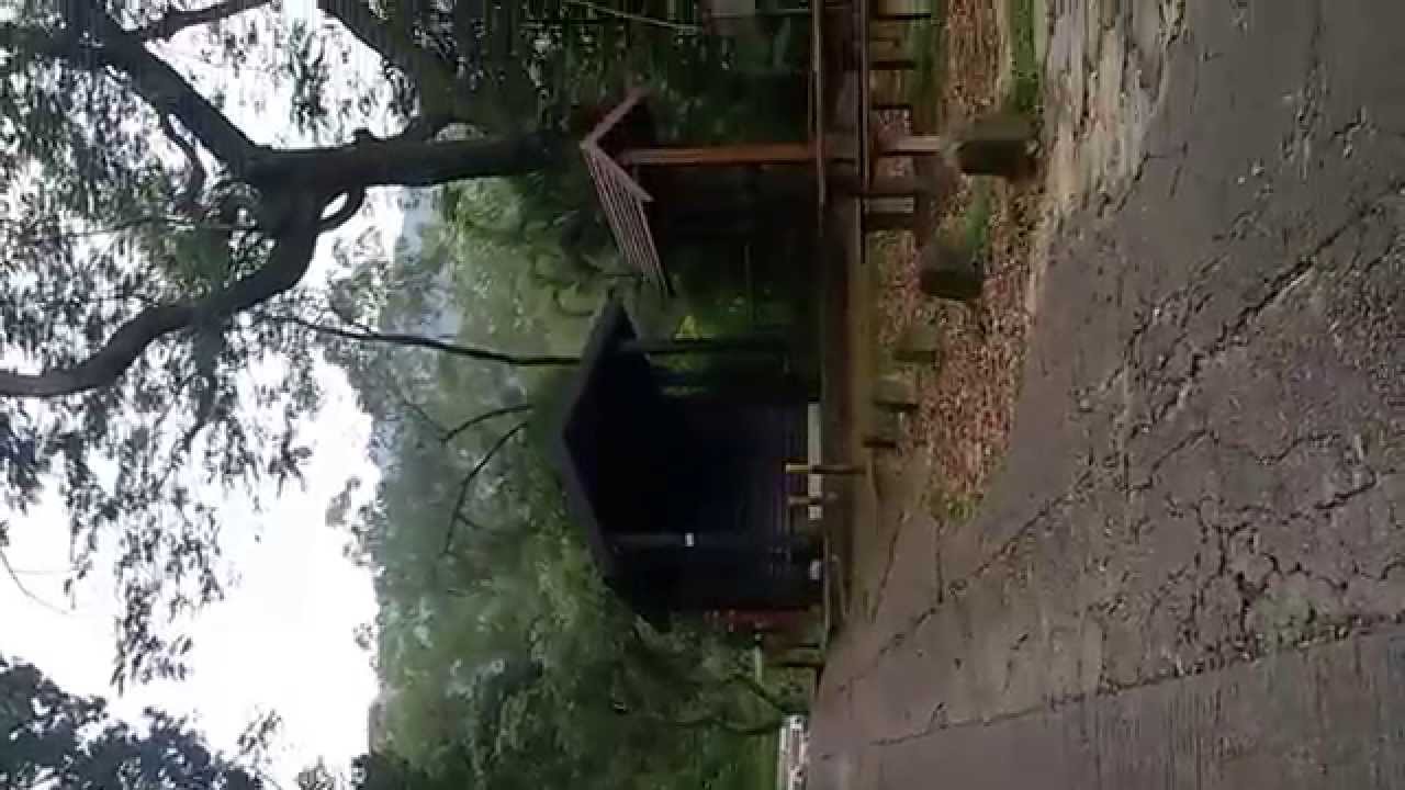 Hong Kong Taipo Kau Forest Walk - YouTube