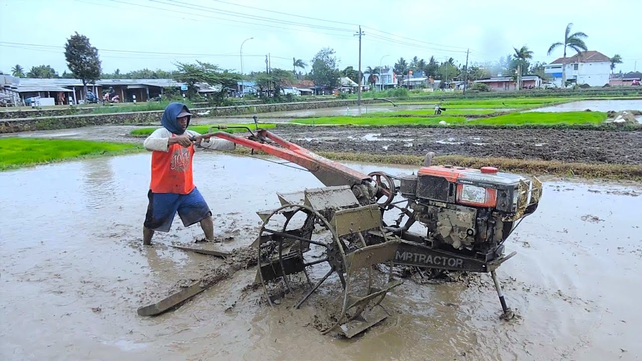 Rice Field Preparation With Walk Behind Tractor - YouTube