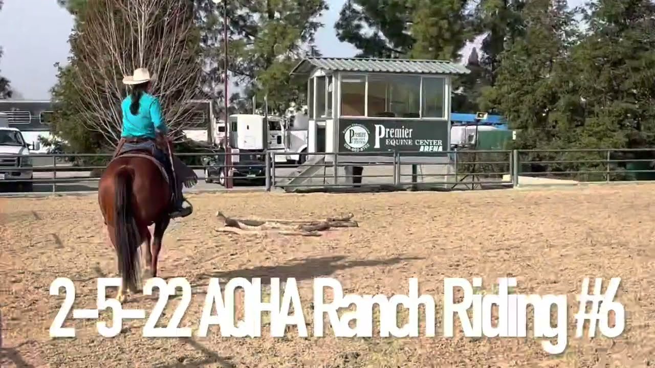 1st time showing Jimmy in Ranch Riding AQHA pattern #6 2-5-22 - YouTube
