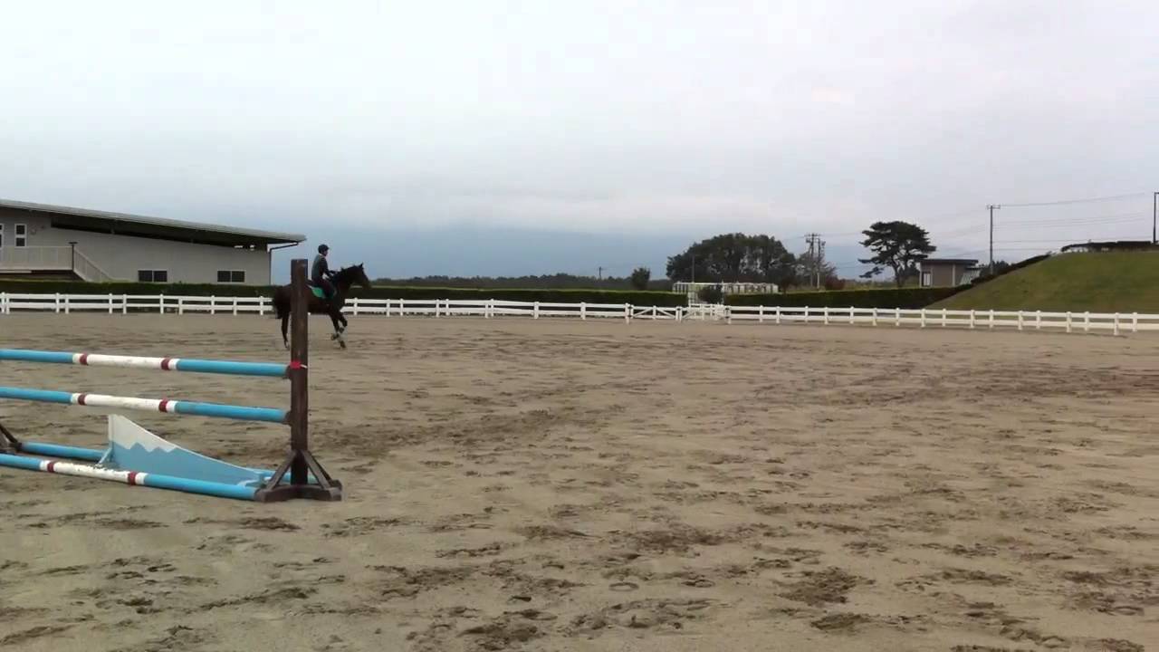 Arkim training 2011/10/19 2 - YouTube