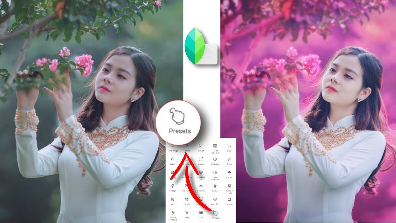 How To Use Presets in Snapseed App // New Snapseed Photo Editing Tricks ...