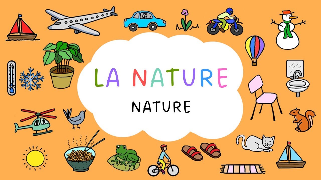 French vocabulary: La nature - Nature - YouTube