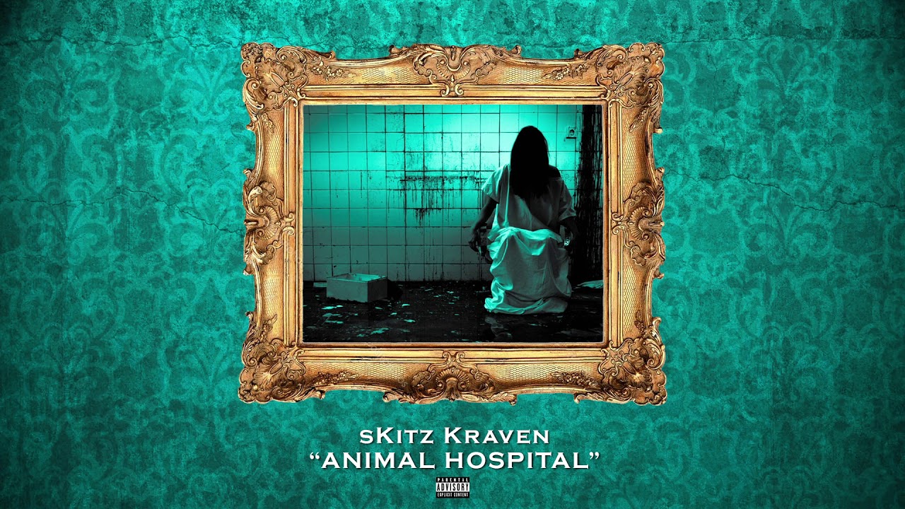 sKitz Kraven - Animal Hospital (Official Audio) - YouTube