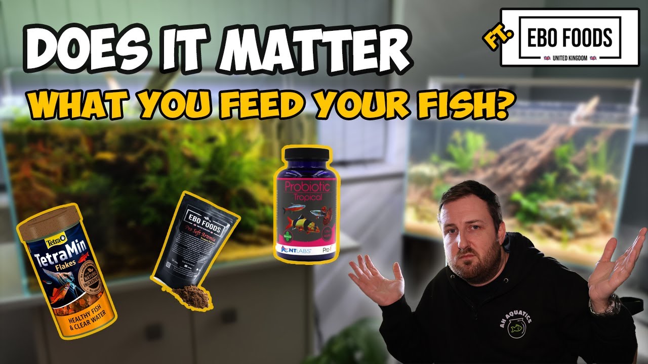 EBO Foods UK Premium Fish Food Review: Is It Worth the Investment ...