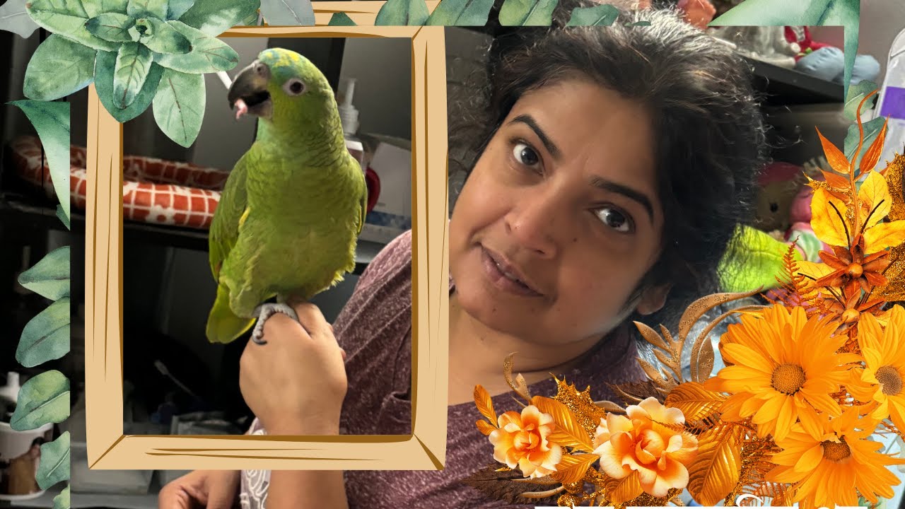 So cute our adorable baby parrot Rai - She is now angry - YouTube