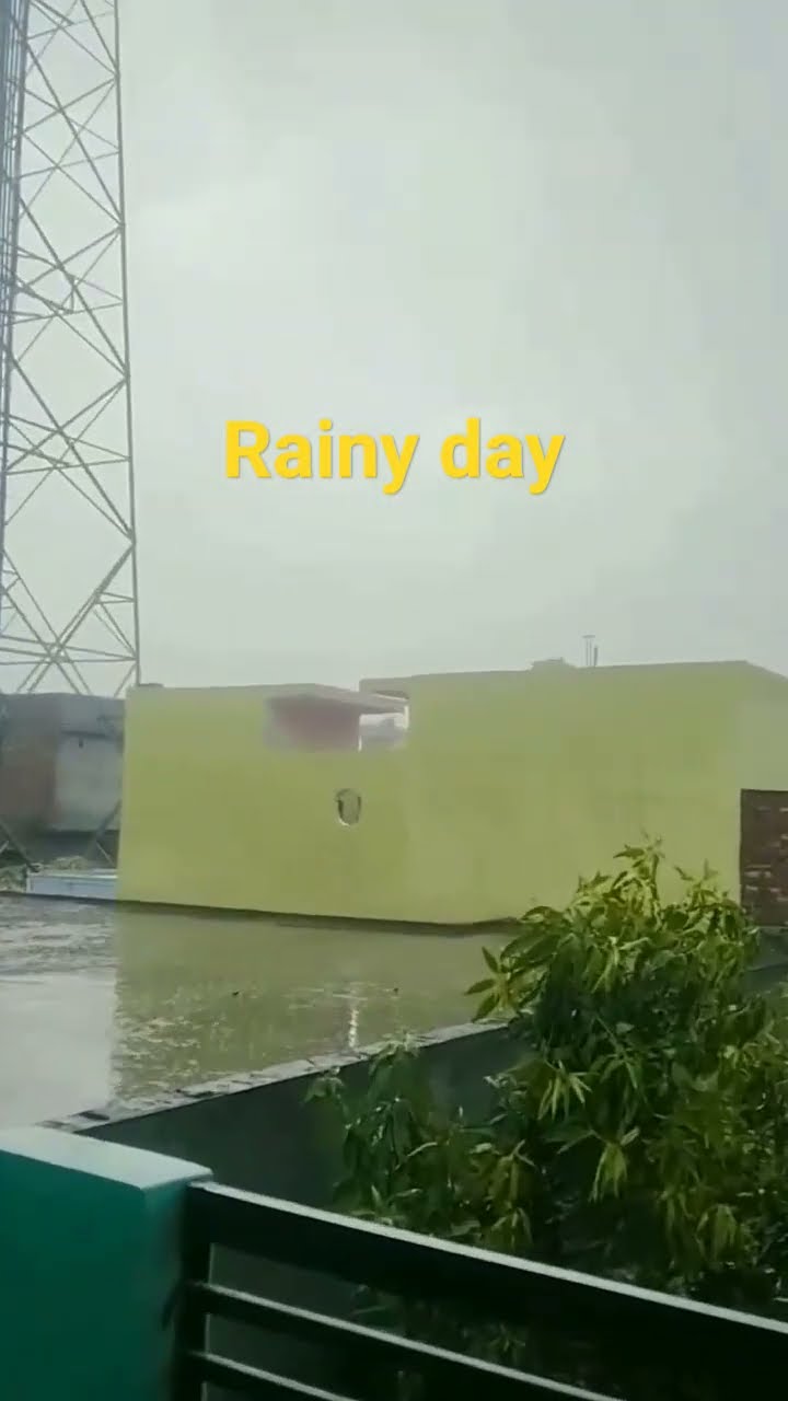today is rainy day💕💕#ytviralvideo #rain #rainyweather #rainydaysounds ...