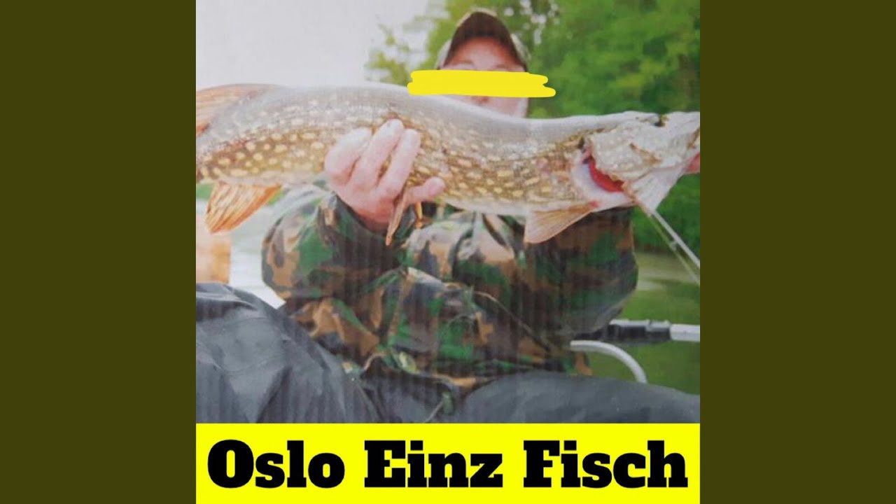 Fisch - YouTube