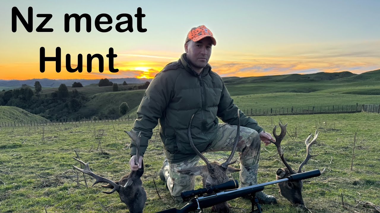 A Stag/Meat hunt - YouTube