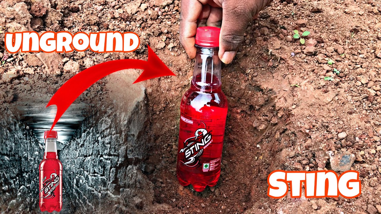 The Sting Bottle: One Month Ungrounded - YouTube