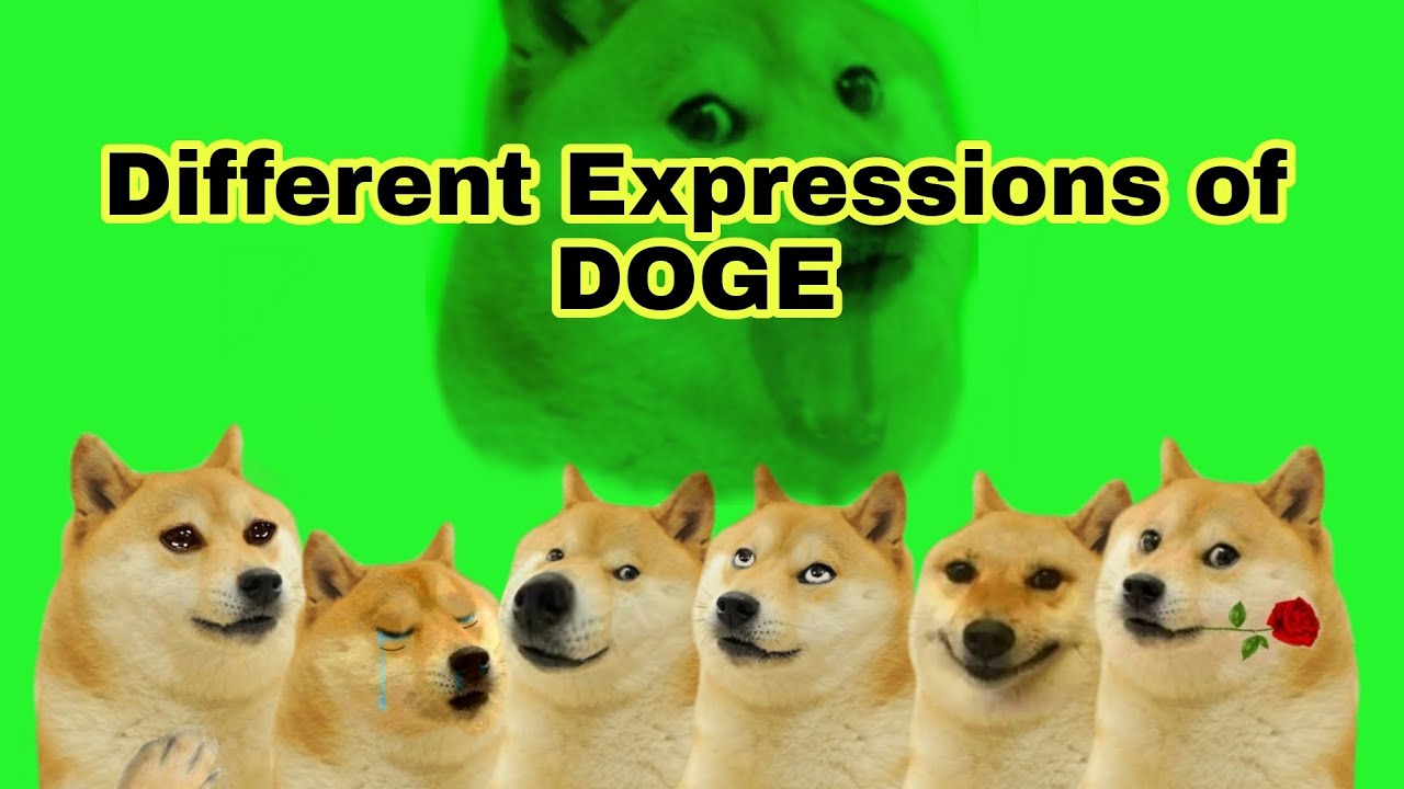 Different Expressions of Doge || Green Screen || Motherboard Bois - YouTube