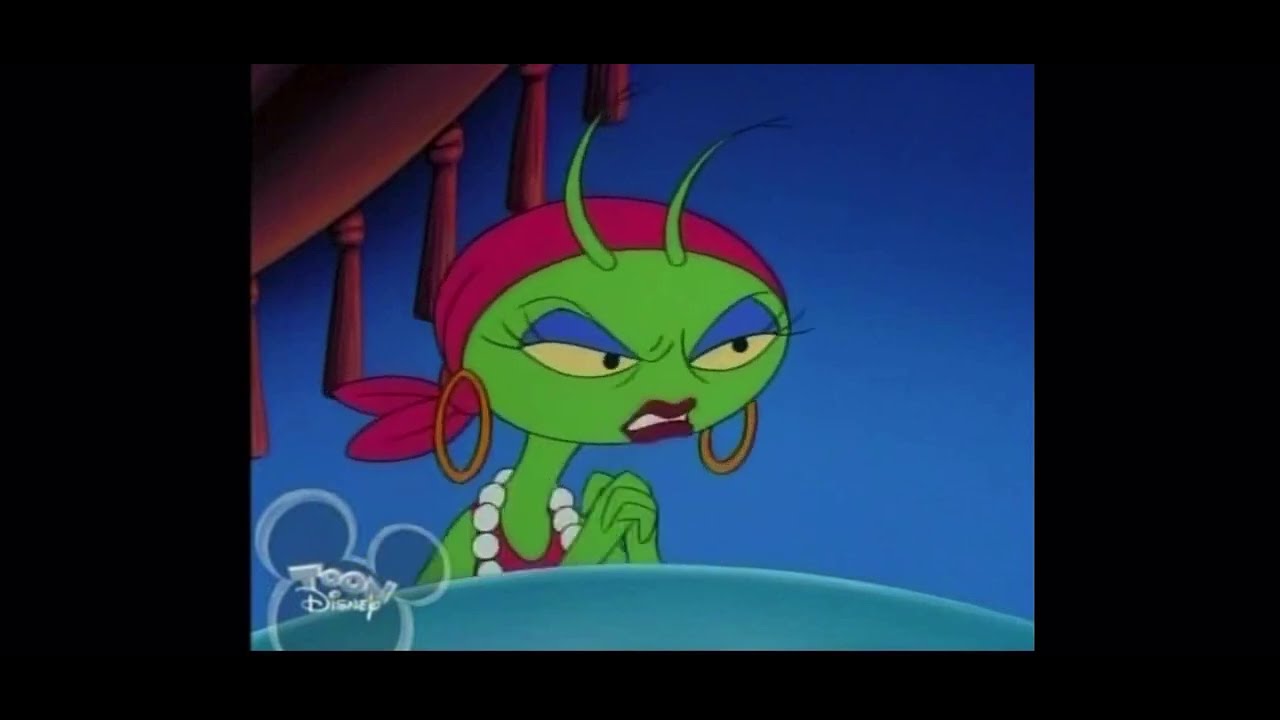 Timon and Pumbaa - Beetle Romania Part 1 - YouTube