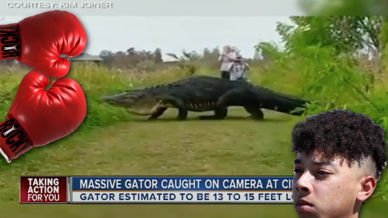 Attacked By Massive 15-Foot Gator - YouTube