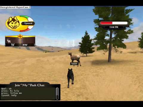 Wolf Quest Multiplayer GamePlay - YouTube