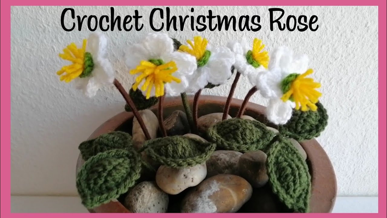 PART 2: Crochet Christmas Rose flowers - YouTube