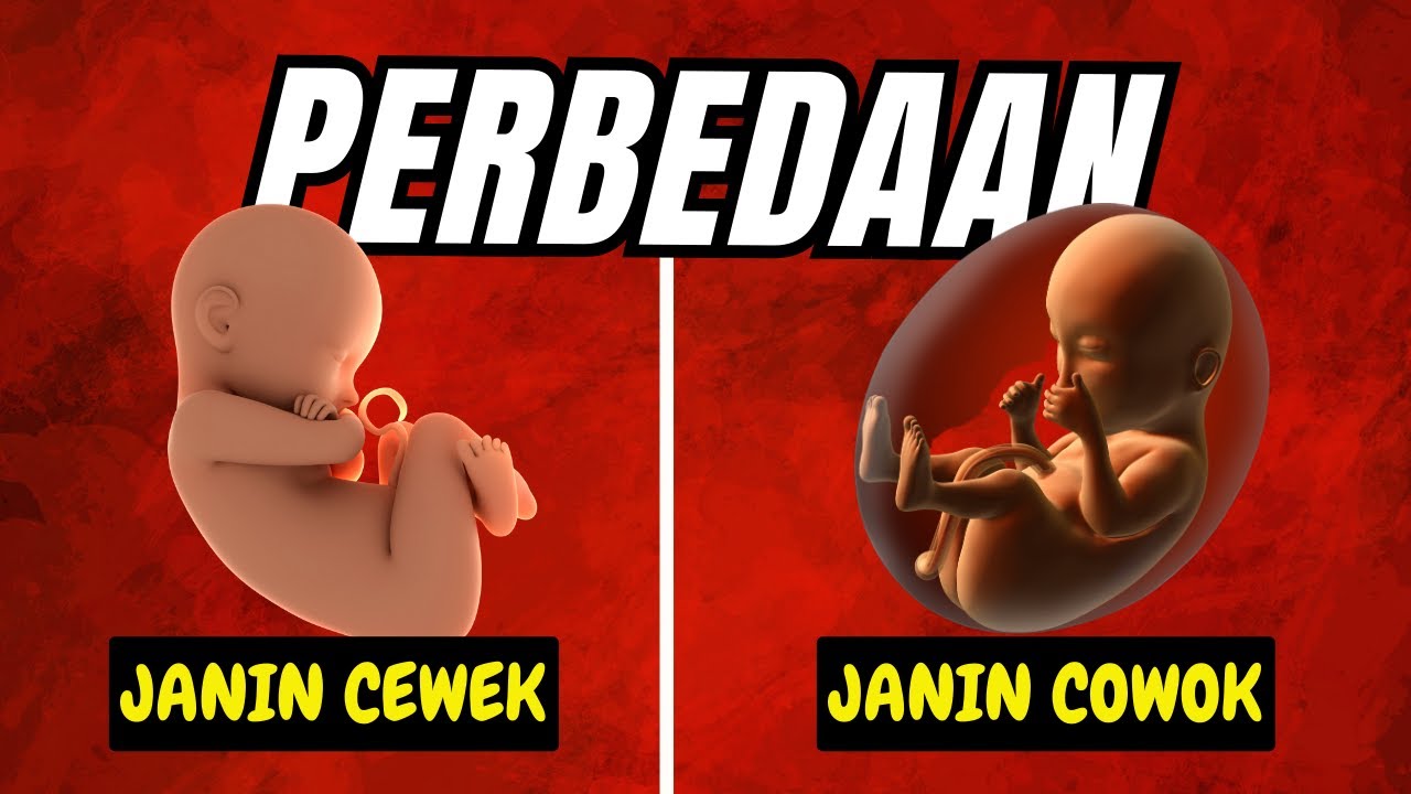 TERNYATA SESERU INI! PERBEDAAN GERAKAN JANIN CEWEK DAN JANIN COWOK ...