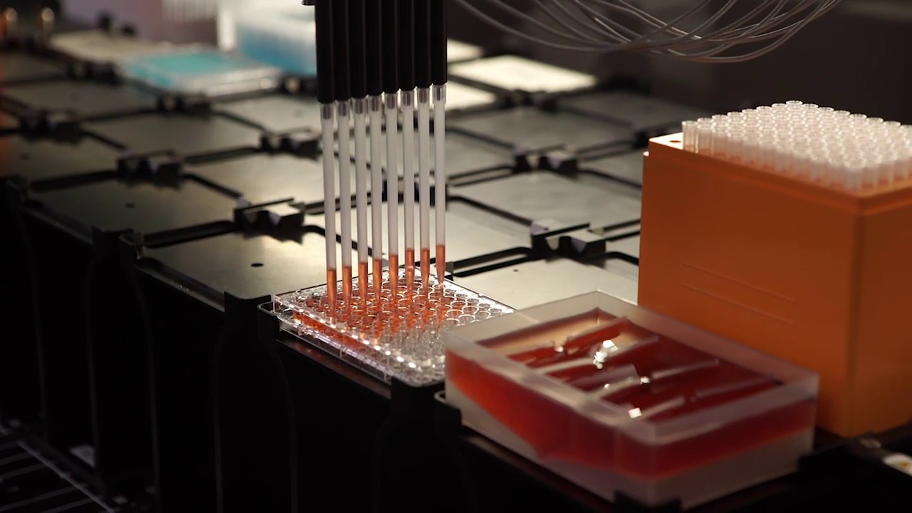 Biomek i Series: Parallel Processing on the i7 Hybrid - YouTube