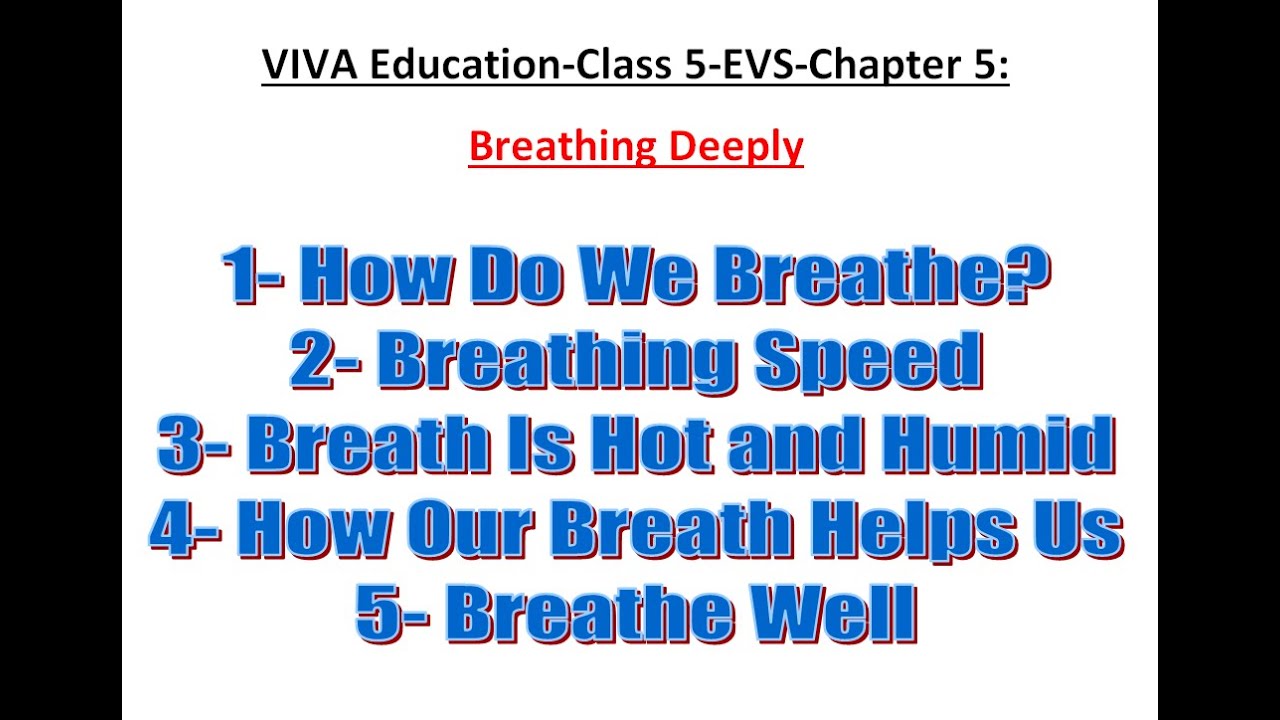 VIVA Education Class 5 EVS Chapter 5 Breathing Deeply YouTube viva-education-class-5-evs-chapter-5-breathing-deeply-youtube