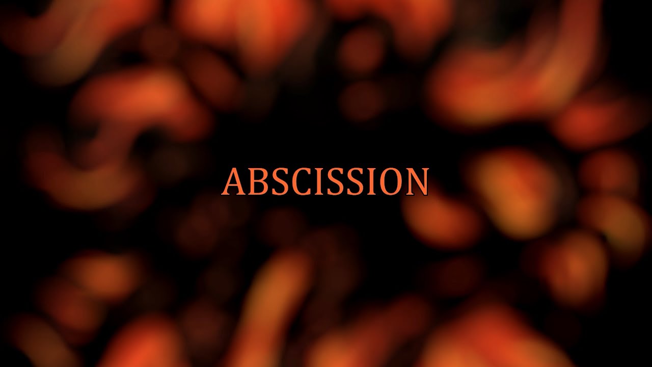 Deathspell Omega - Abscission (Guitar / Vocal cover) - YouTube