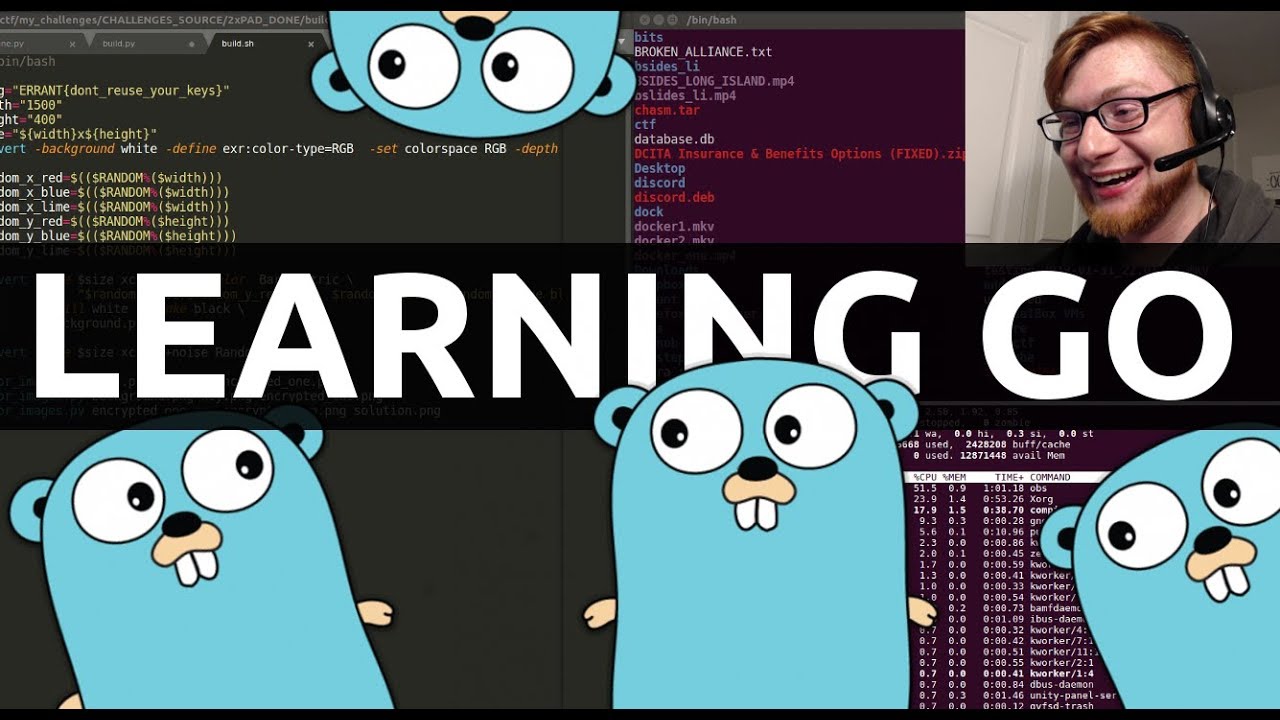 ATTEMPTING To Learn GO PROGRAMMING LANGUAGE YouTube ATTEMPTING To Learn GO PROGRAMMING LANGUAGE YouTube