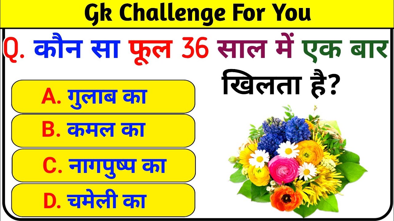 Gk Questions And Answers | Gk Questions | General Knowledge | Gk Quiz ...