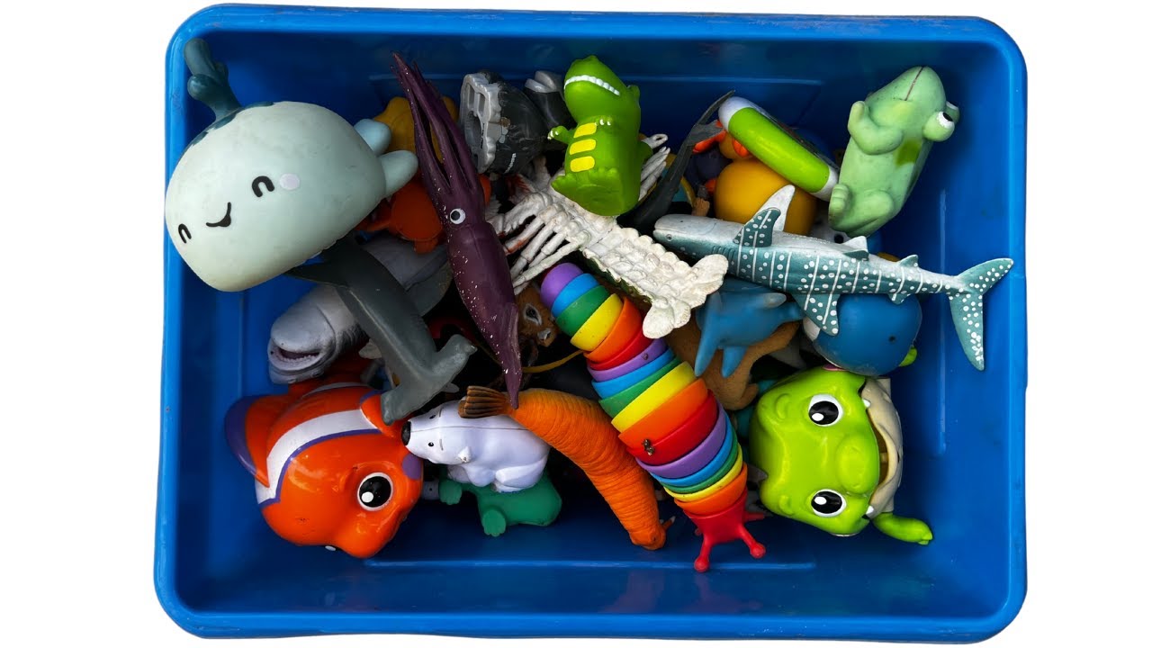 SPOT SEA ANIMAL TOYS| LEARN SEA ANIMAL NAMES AND FACTS WITH TOYS| TOYS ...