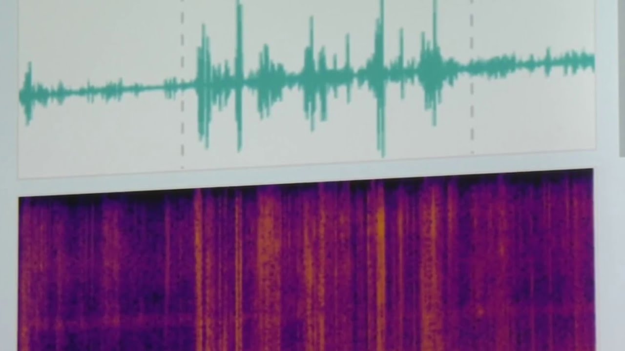 New tech catches ‘Moodus noises' in the act - YouTube