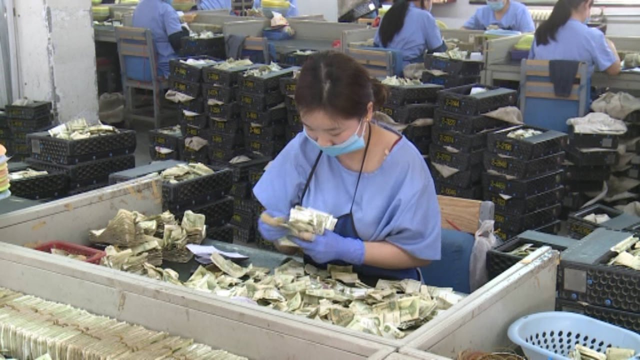Bus Company Staff Count Cash As Fast As Machine YouTube bus-company-staff-count-cash-as-fast-as-machine-youtube