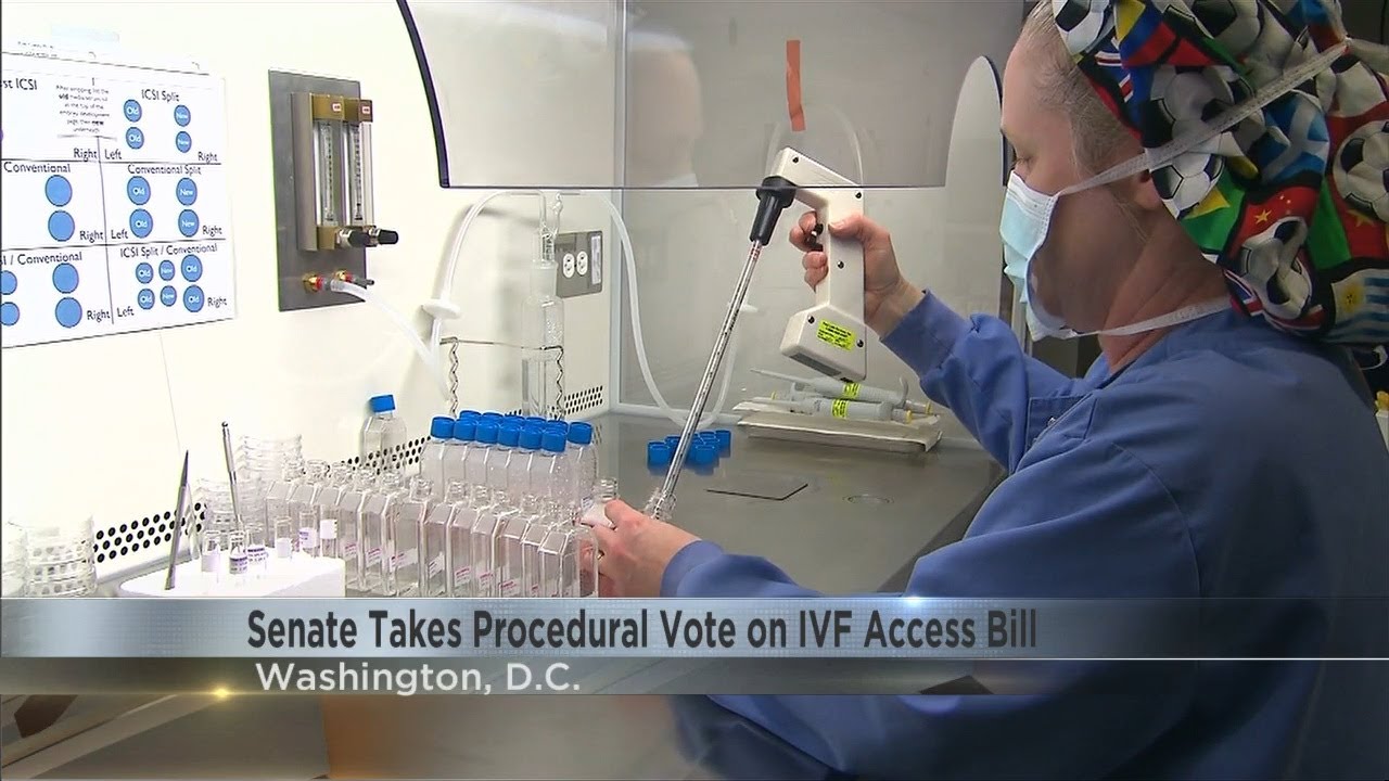Senate takes procedural vote on IVF access bill - YouTube