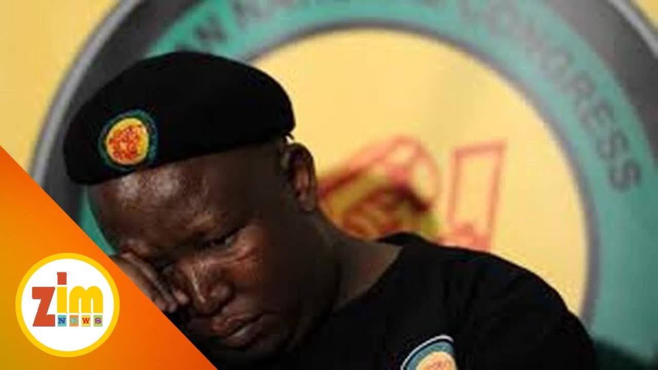 Elvis Nyathi’s murder EFF leader Julius Malema asks for forgiveness ...