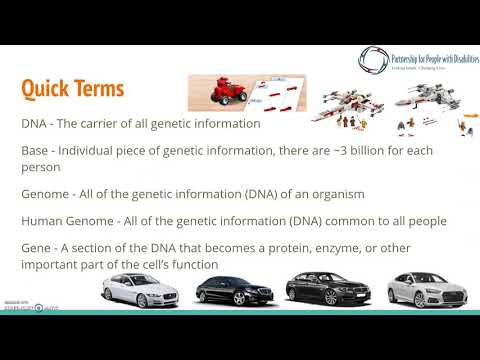 Introduction to Genetics - Lecture 1 - YouTube