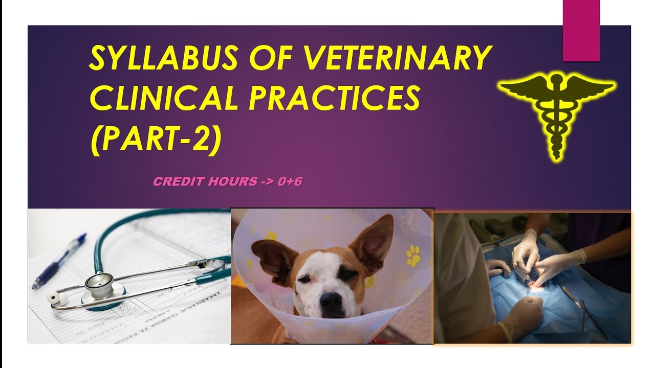 Veterinary Clinical Practices (Final Year) SYLLABUS VIDEO Simplified ...