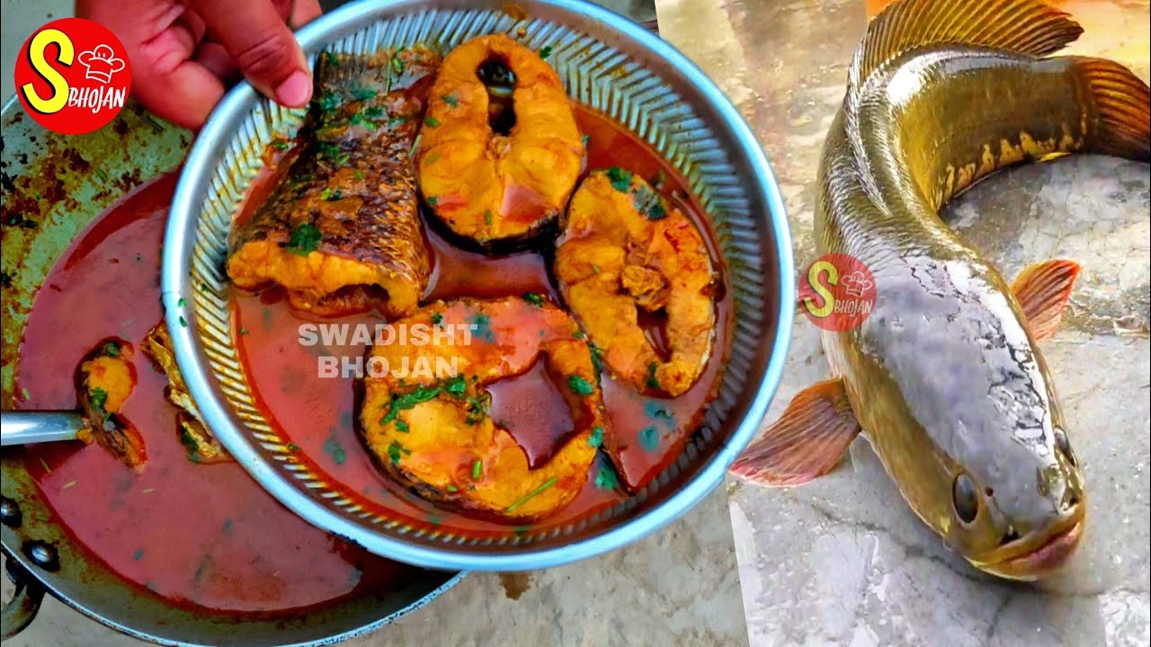 saur machli ki curry||snakehead fish cooking recipe सौर मछली रसेदार ...