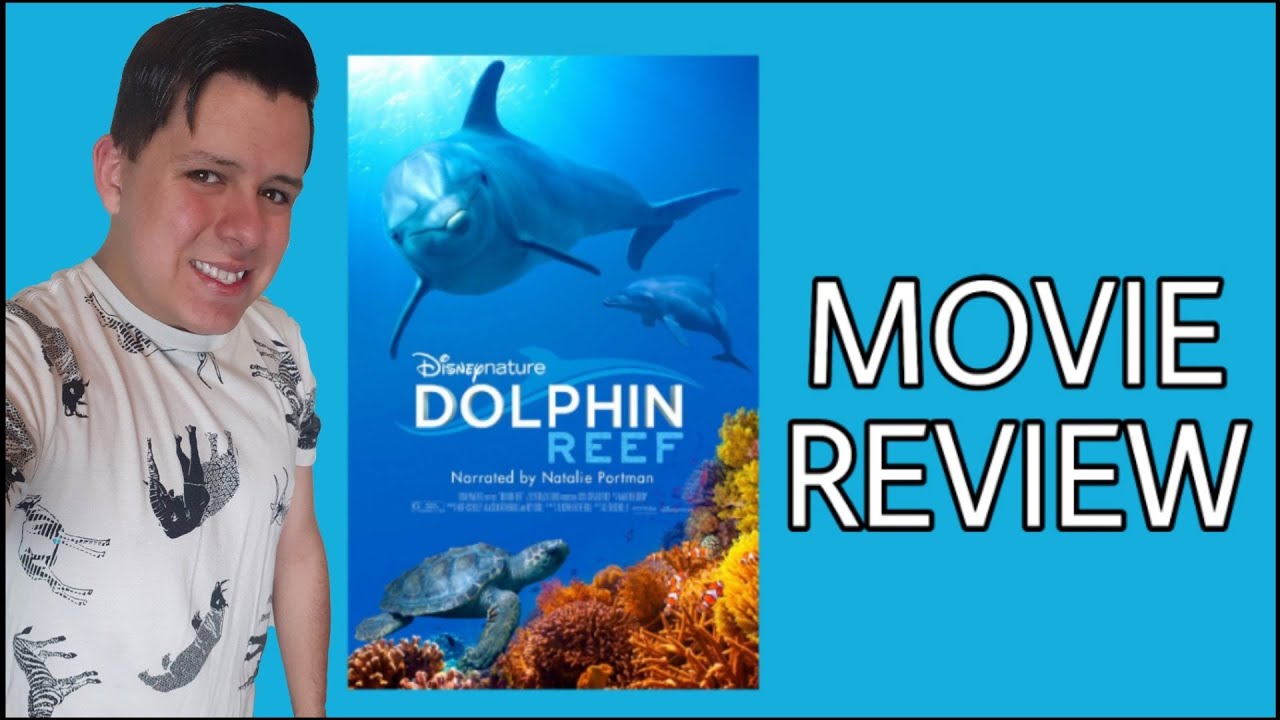 Dolphin Reef (2020) Movie Review - Disney+ Original - YouTube