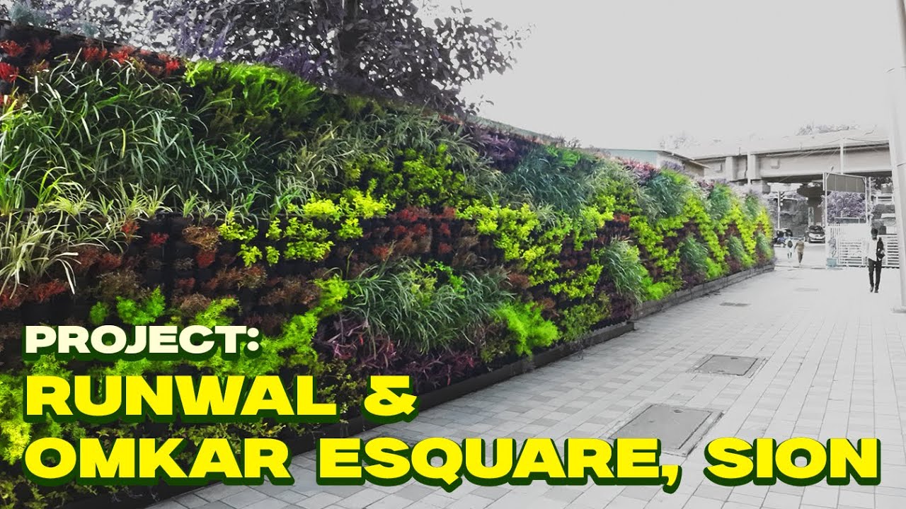 Runwal & Omkar Esquare, Sion Greenwall Cinematic Video | #plantnursery ...