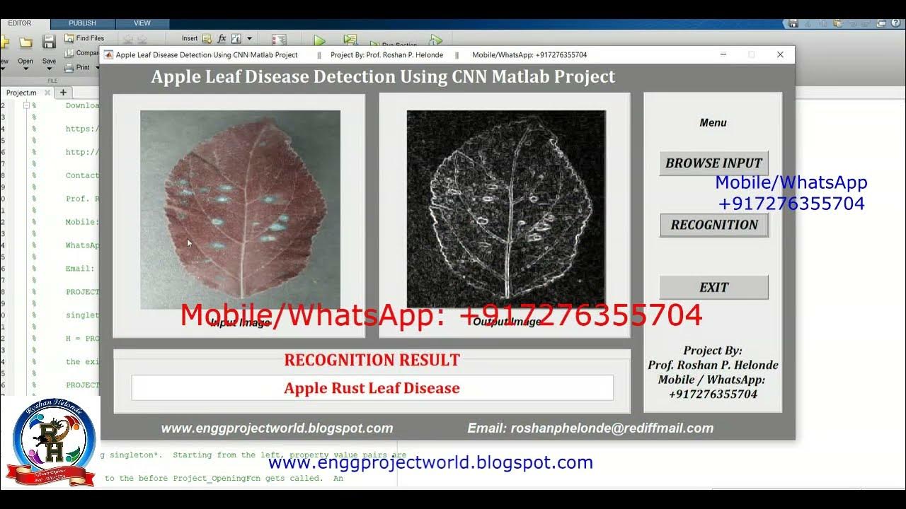 Apple Leaf Disease Detection Using Cnn With Source Code Apple Leaf