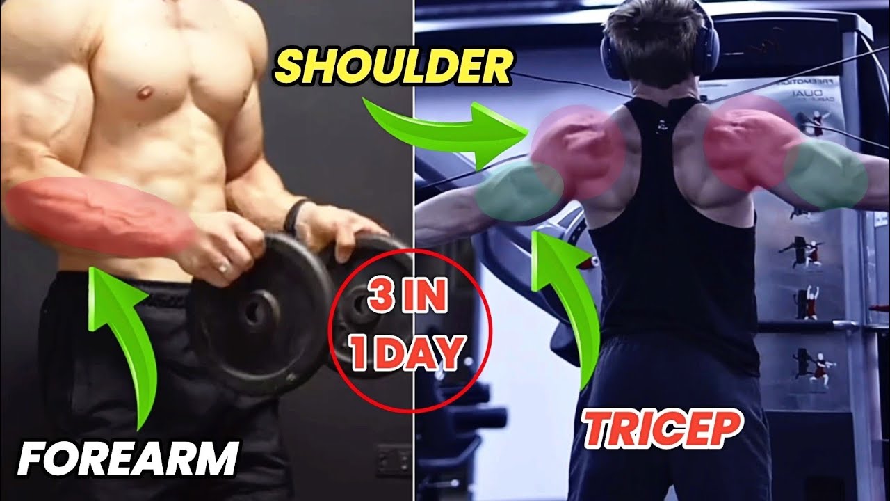 Best Shoulder, Tricep And Forearm Exercises To Build Big Muscle ...