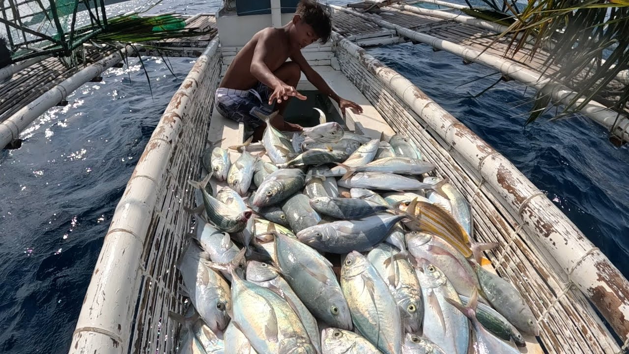 Binagsakan Namin Ng Trap Ang Payaw 2 - YouTube