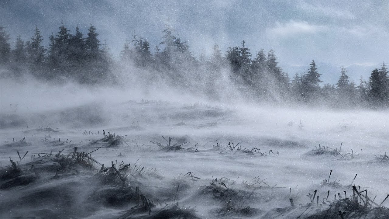 Snowstorm Sounds. Howling Winds and Heavy Blizzard. Black Screen. 10 ...