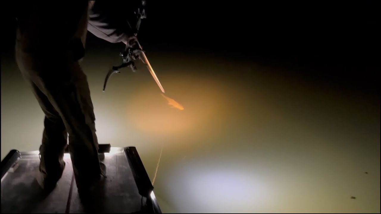 Bowfishing Carp in Tiny Jon Boat - YouTube