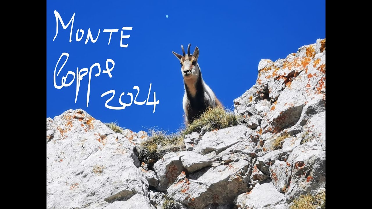 Abruzzo Excursions Monte Coppe Mt. 1992 s.l.m.PARCO NAZIONALE GRAN ...