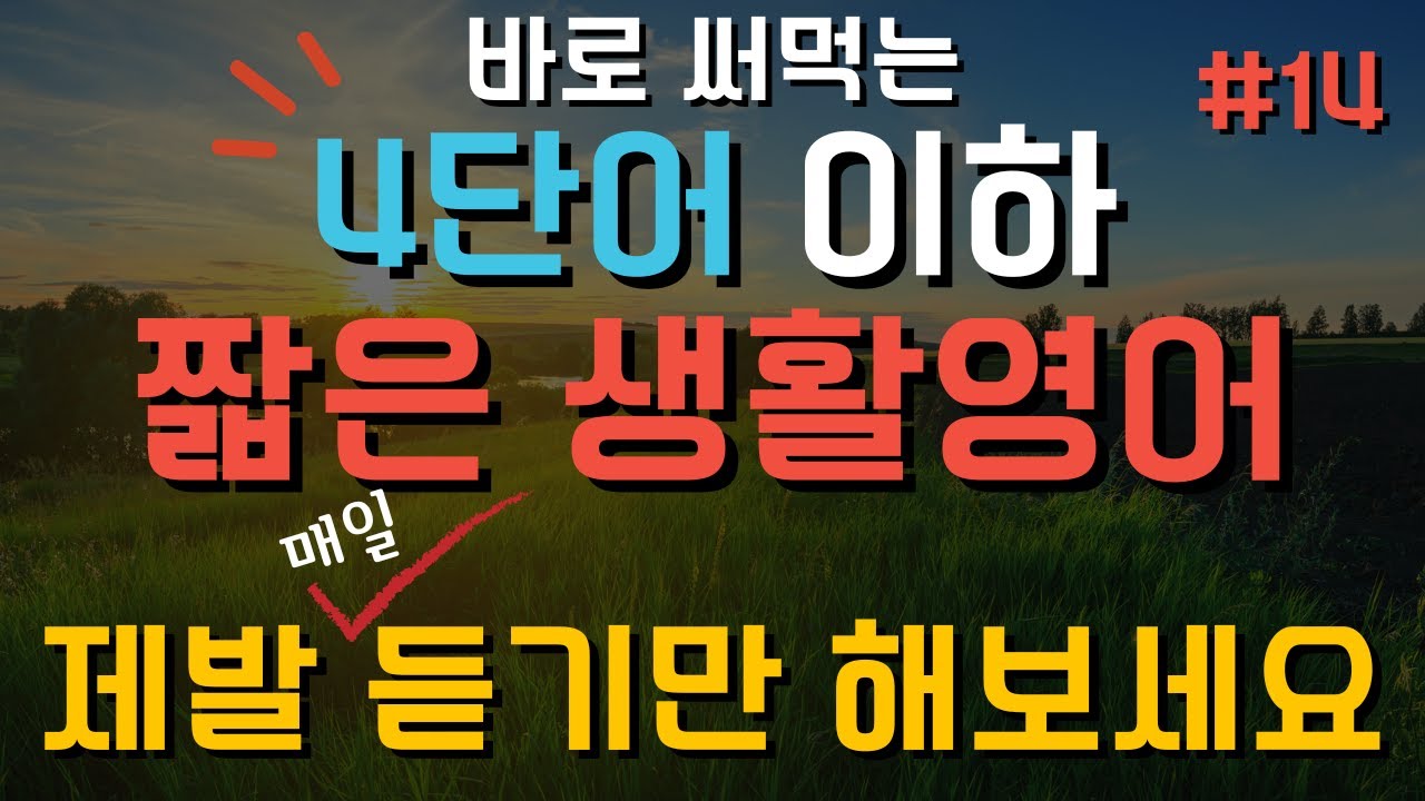 짧은 생활영어 14 틀어만 두세요|짧고 쉬운 영어회화 30 문장|미국인이 매일쓰는 기초생활영어 반복 듣고 따라하기 왕초보영어영어듣기영어공부초간단영어중년영어