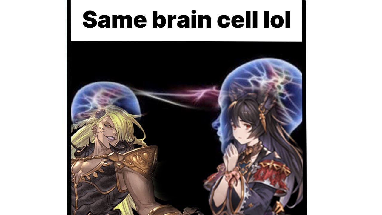 Highlight: [GBFVSR] Same brain cell clash - YouTube