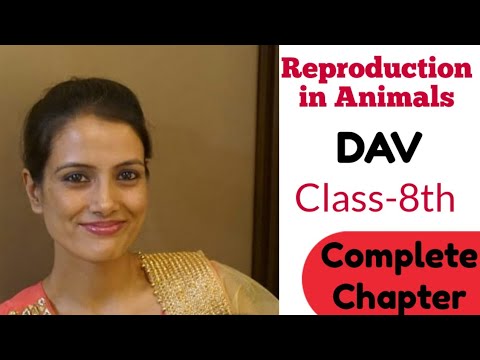 DAV || SCIENCE || REPRODUCTION IN ANIMALS || CLASS 8th ||COMPLETE ...