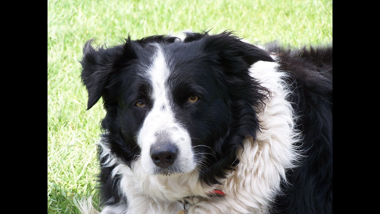 EPISODE 19 @ Stone end farm fisheries - YouTube