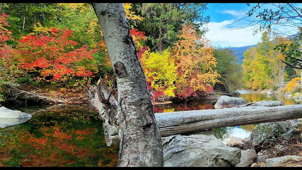 #1 Fall Colors Location in Washington State - YouTube