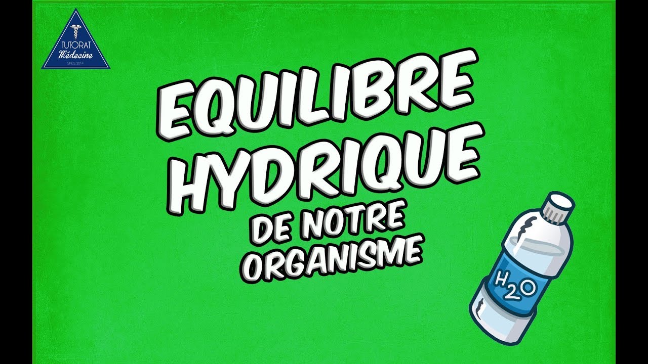 Équilibre hydrique de l'organisme - YouTube