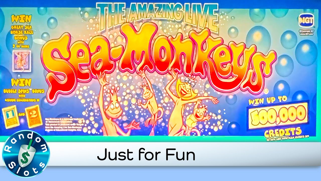 The Amazing Live Sea Monkeys Slot Machine Bonus - YouTube