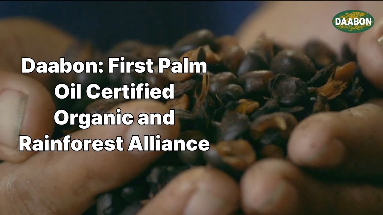 Daabon: First Palm Oil Certified Organic and Rainforest Alliance - YouTube