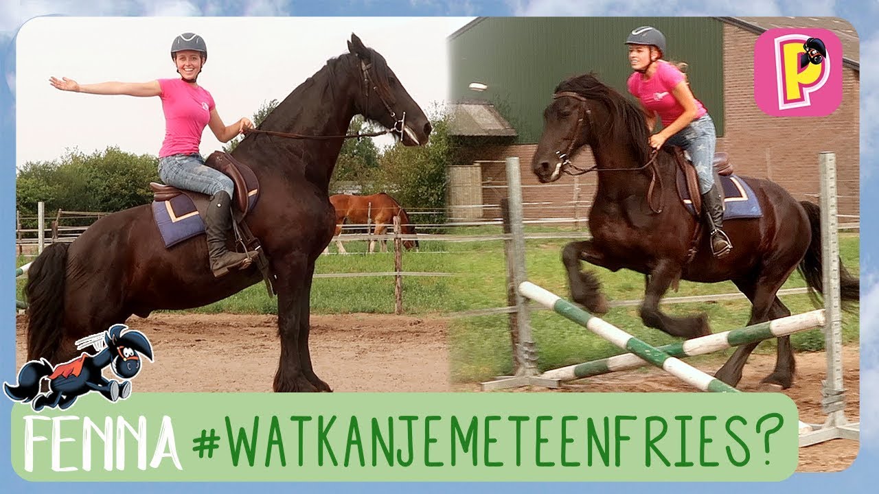 Wat kan je met een Fries? | Rassen | Fenna | PennyTV - YouTube