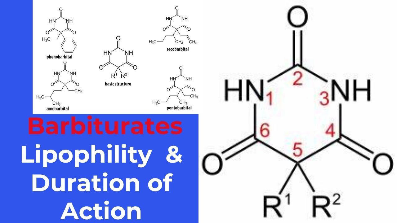 structure-activity relationship (SAR) of barbiturates - YouTube